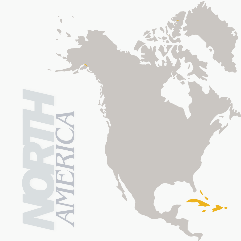 About | Capital Automotive Equipment